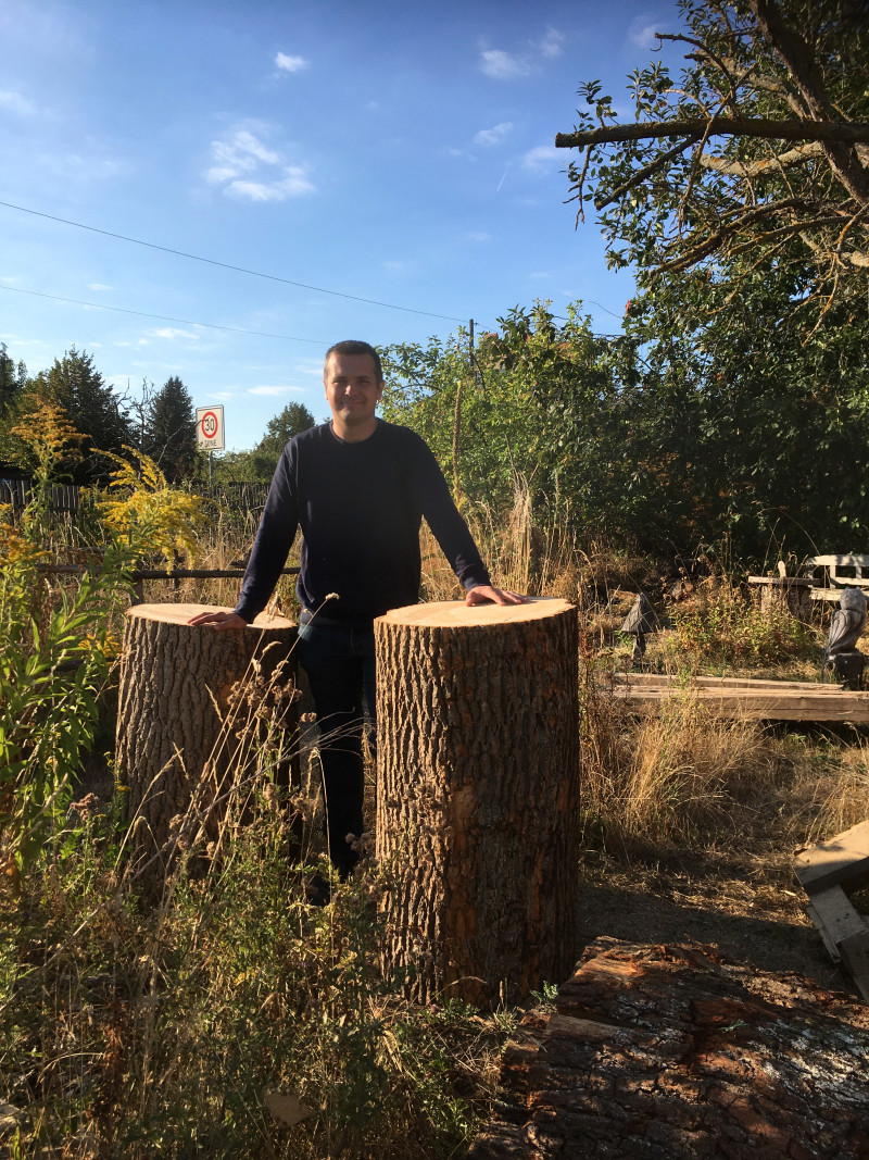 Esche als Brennholz - Kettensäge Ratgeber